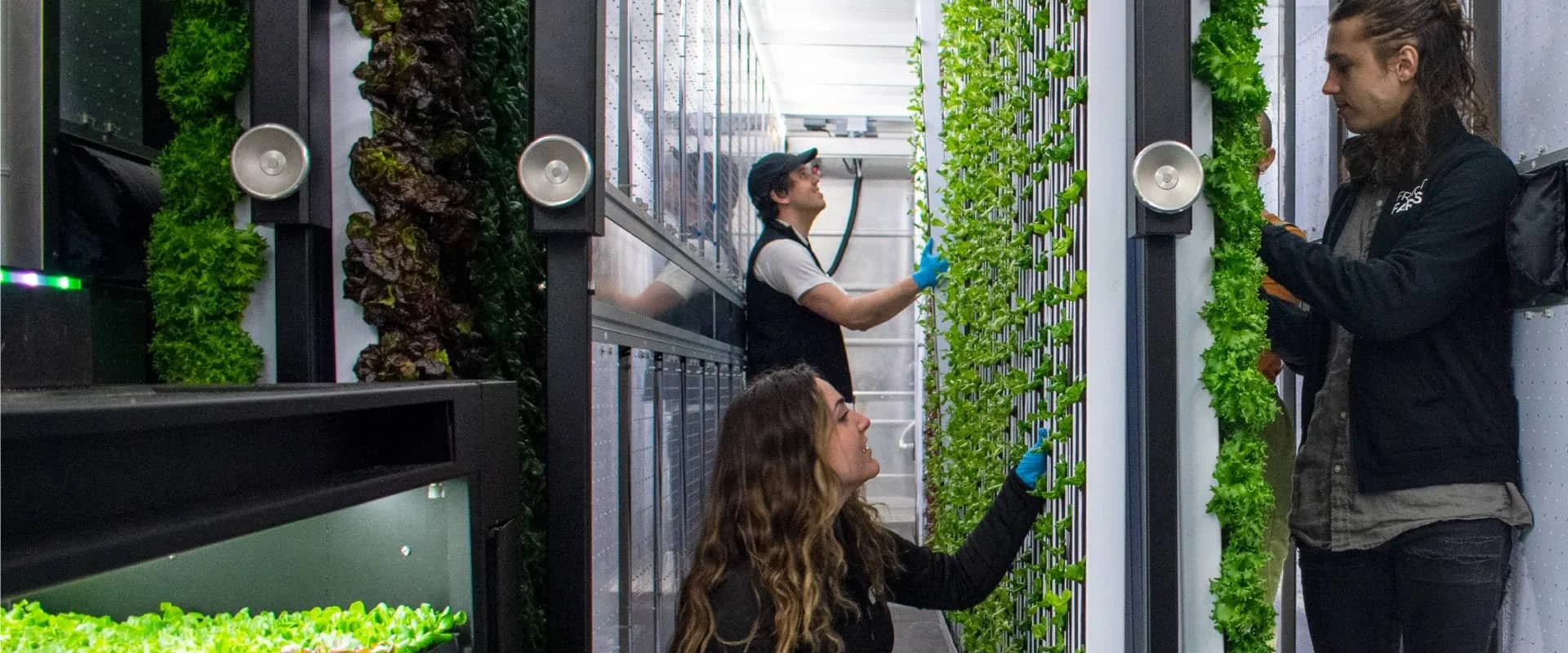 Start a Nonprofit Vertical Farming Program - Freight Farms