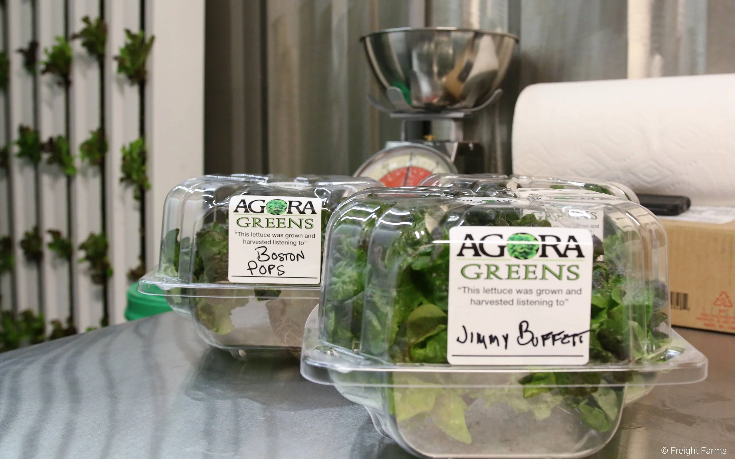 How to Package Crops | Freight Farms