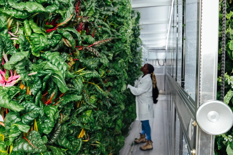 Container Farming | Freight Farms