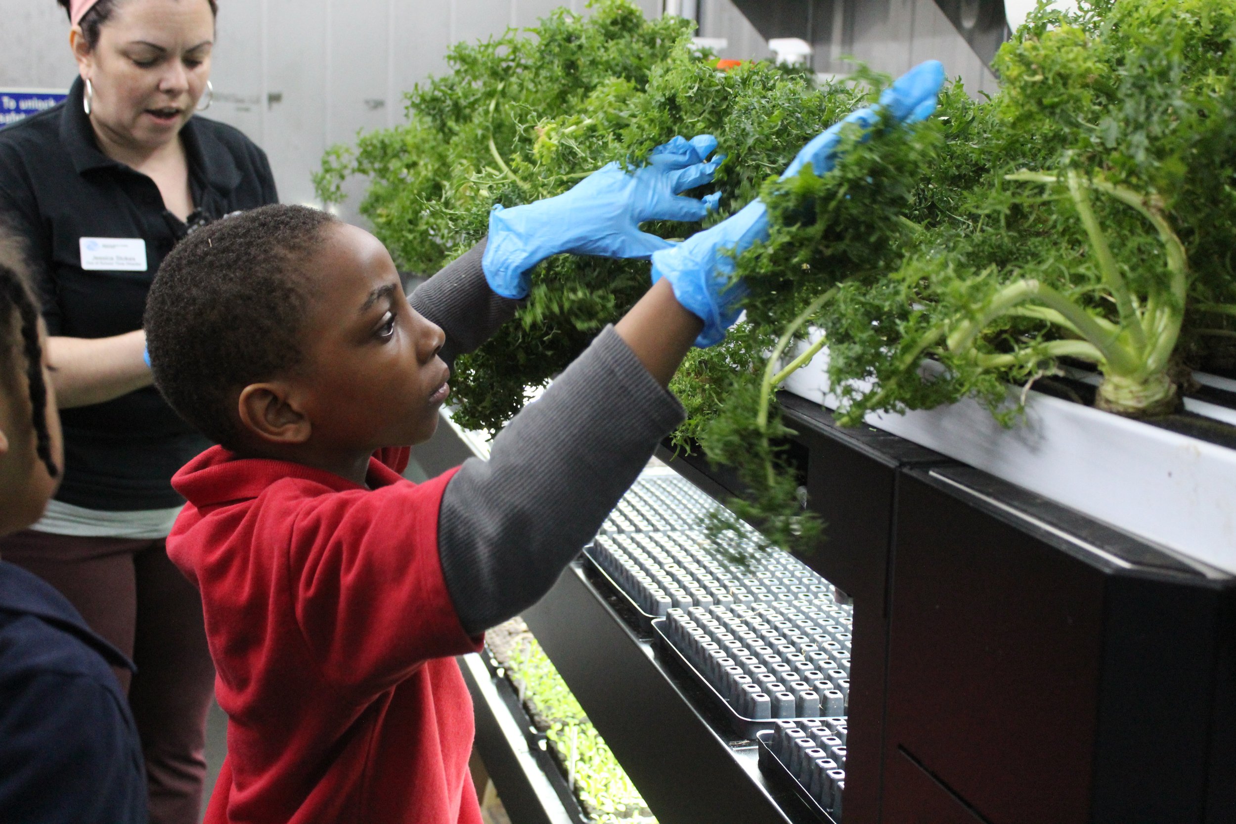 Container Farming Webinars | Urban Farming Webinars | Hydroponics ...