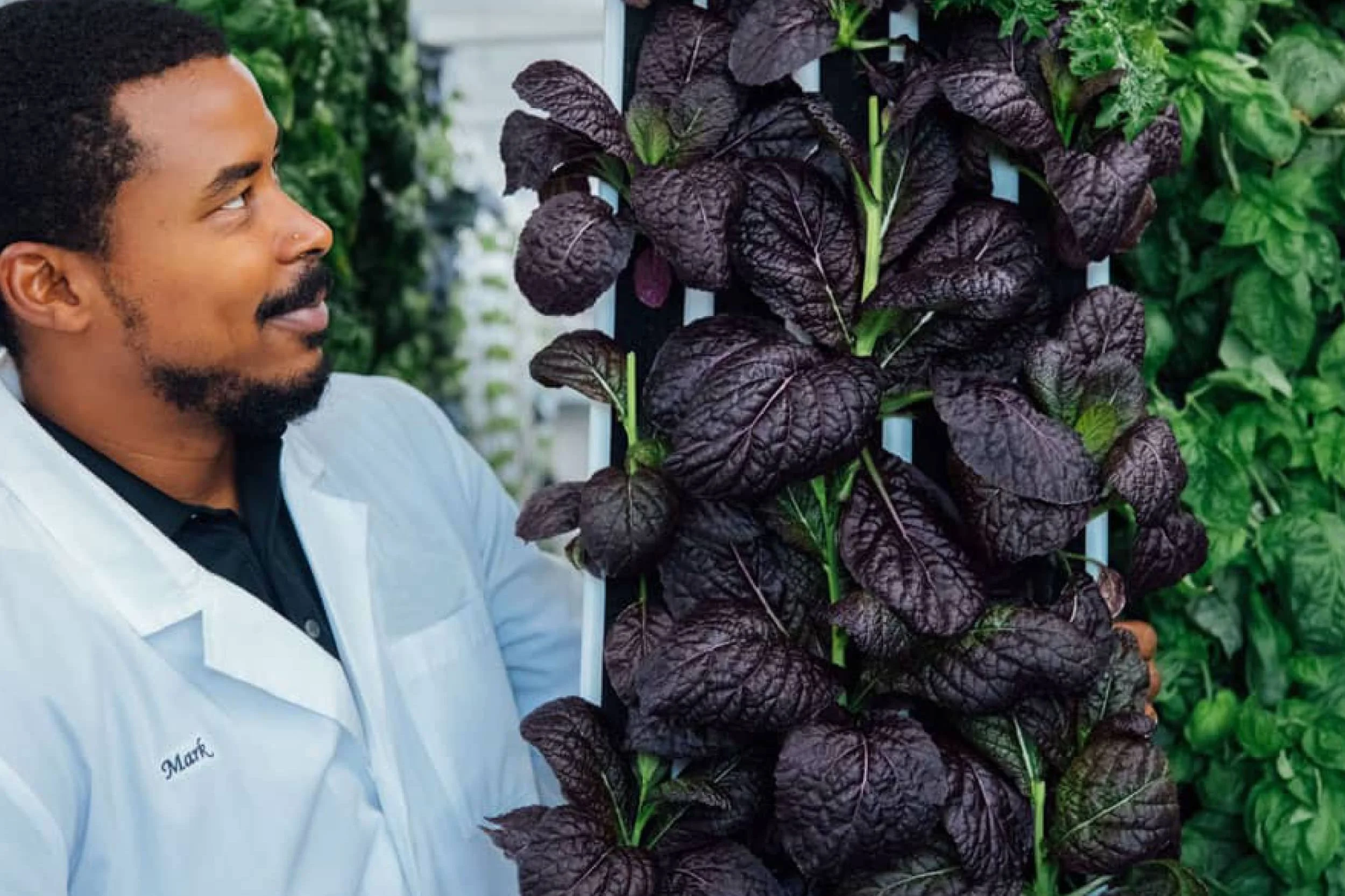 Start Container Farming at Your Healthcare Organization - Freight Farms