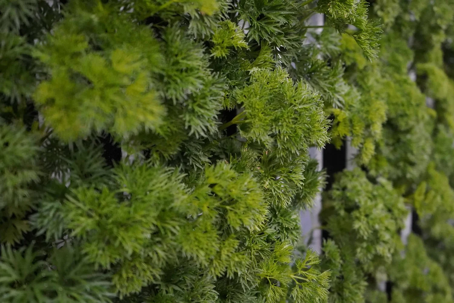 Start Container Farming at Your Healthcare Organization - Freight Farms
