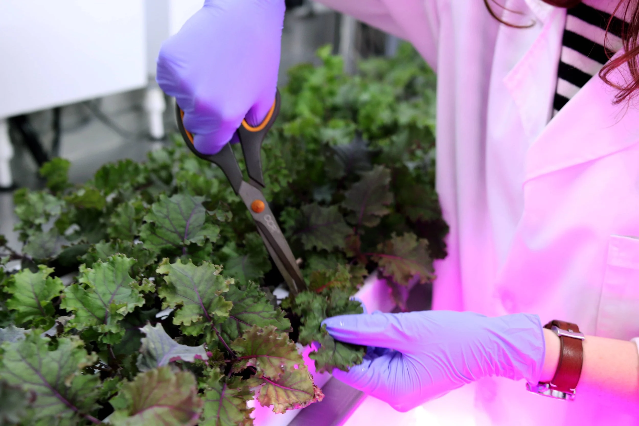 About Freight Farms | Our Mission to Revolutionize Local Food Access