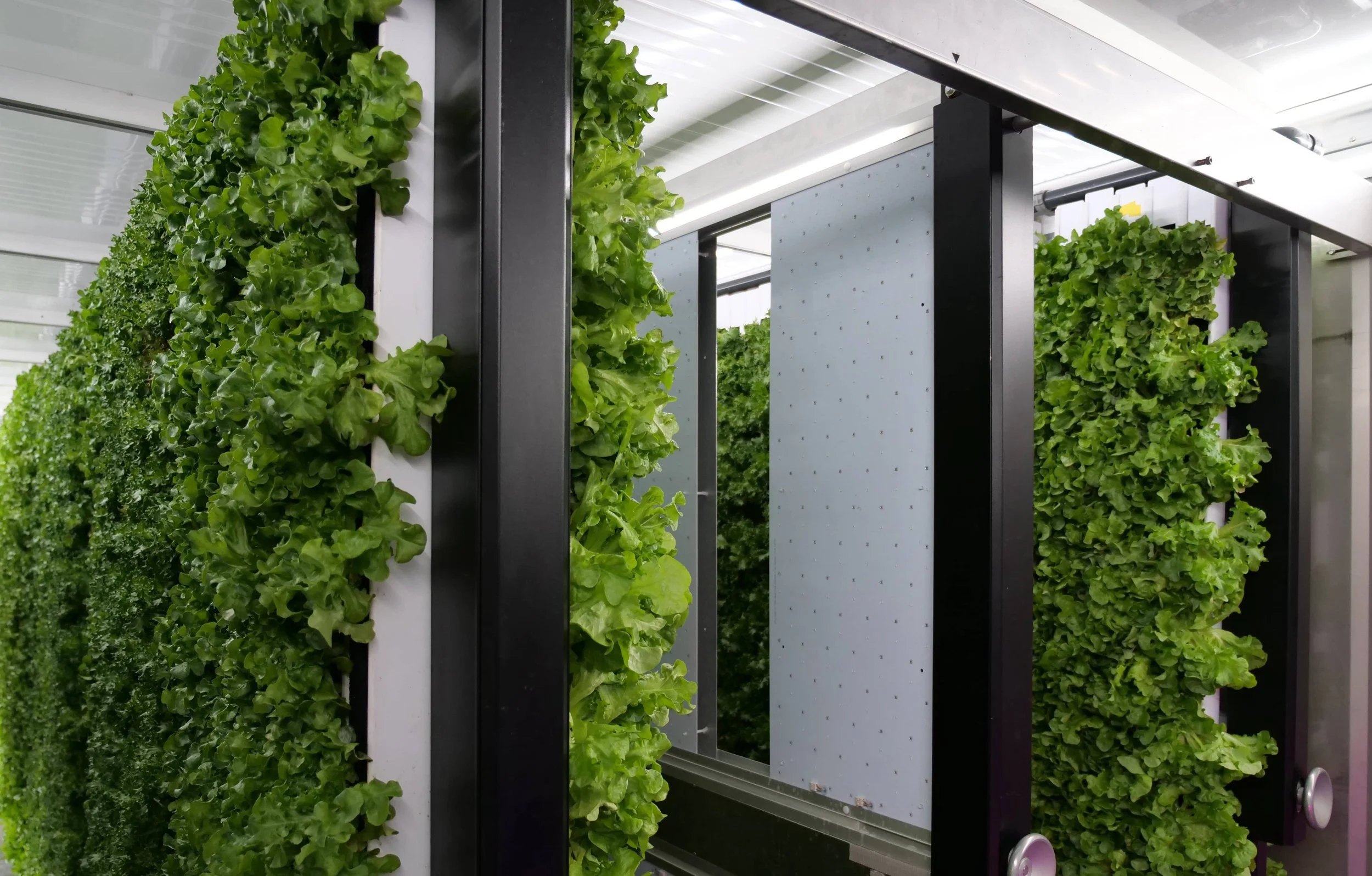 Become a Freight Farmer