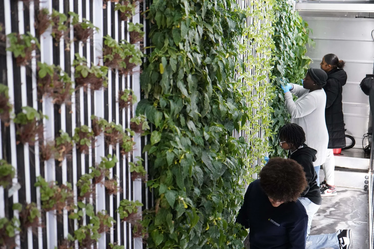 STEM in Agriculture Education