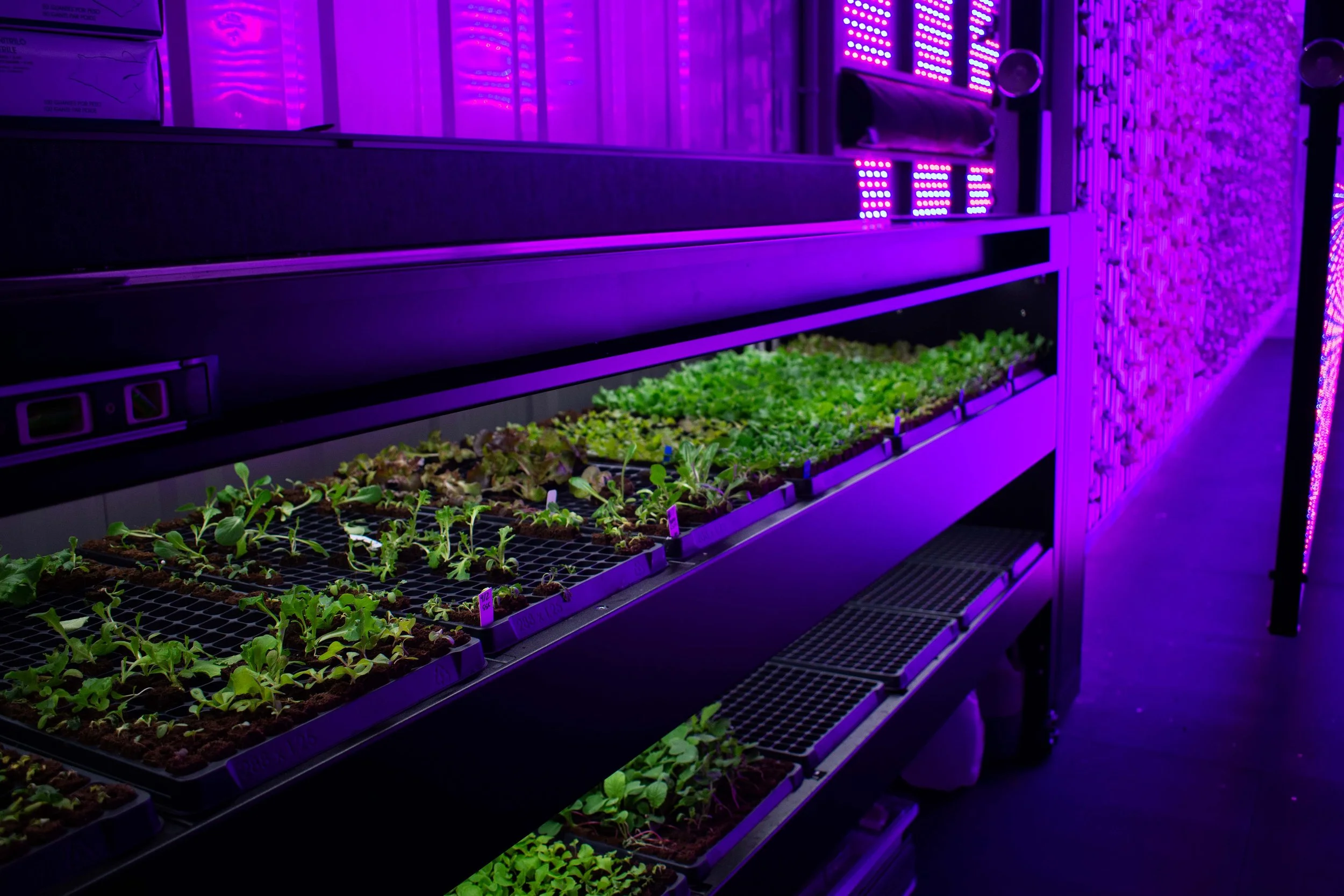 10 Reasons Every School Needs a Farm on Campus