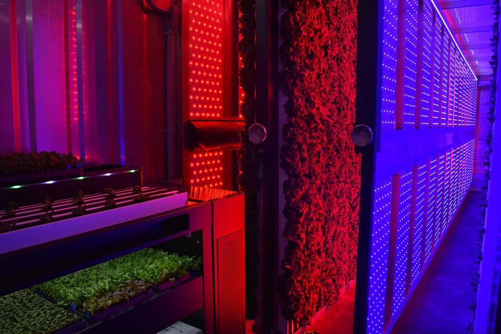 Container Farming: Innovative Agriculture | Freight Farms