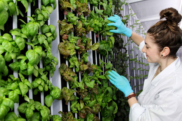 Transforming Agriculture: Vertical Farming with the Greenery™
