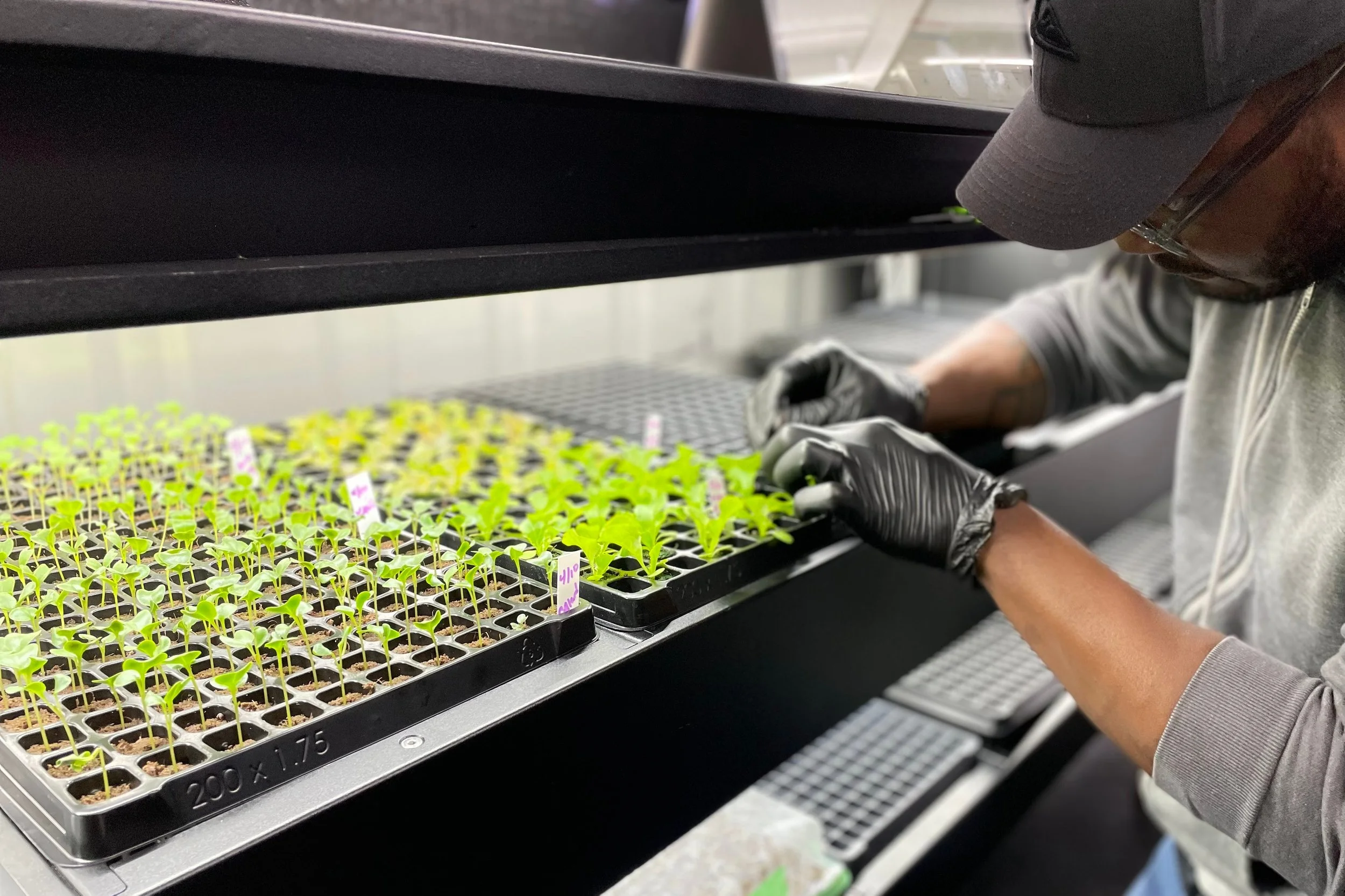 16 Reasons to Start Container Farming in 2023 | Freight Farms