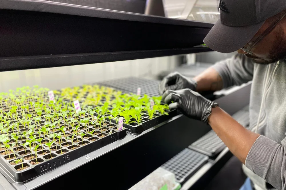 16 Reasons to Start Container Farming in 2023 | Freight Farms