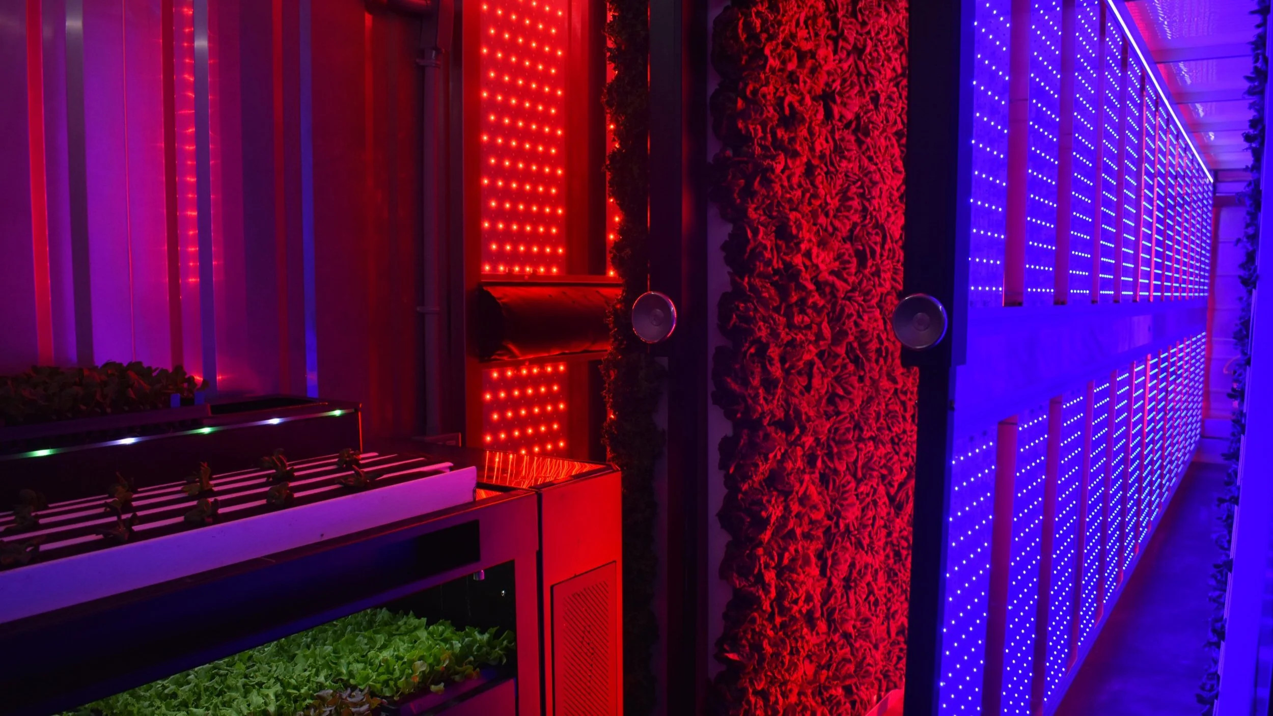 STEM in Agriculture Education