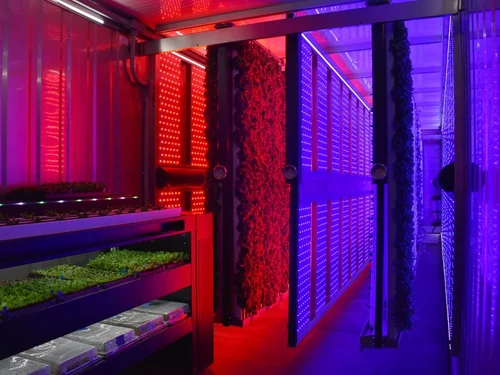 Hydroponic Growing Setup | Urban Farming with Freight Farms