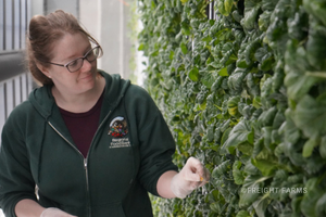 16 Reasons to Start Container Farming