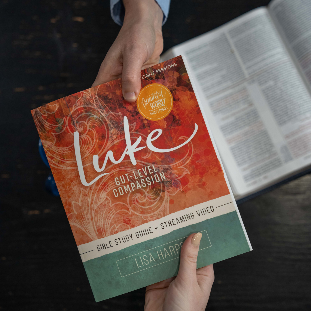 Events — North Terrace Church