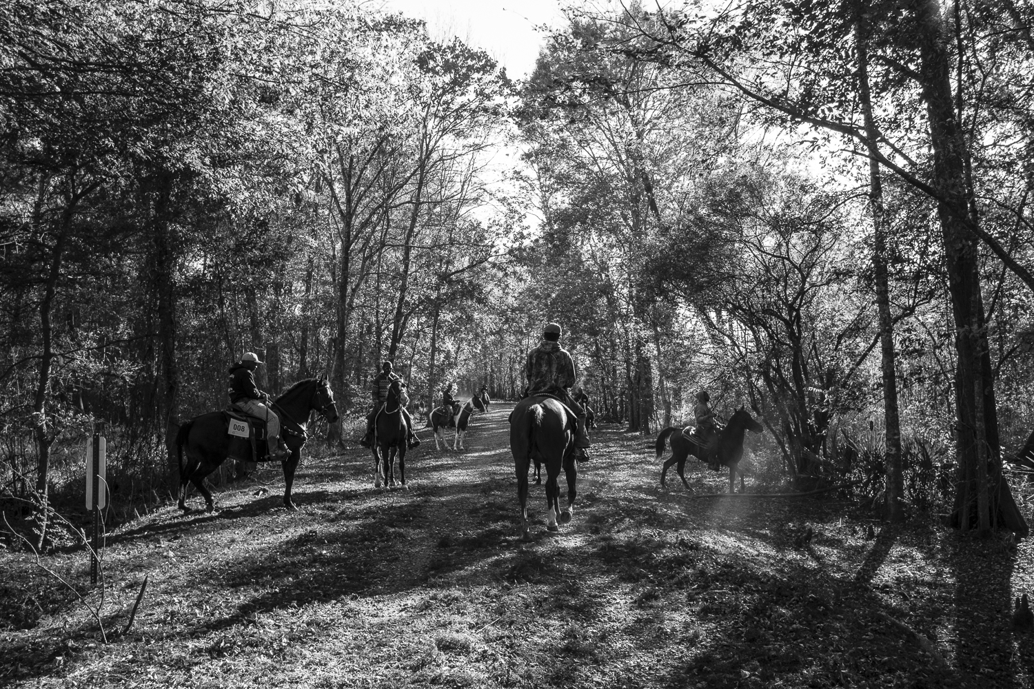 Louisiana Trail Riders — Jeremiah Ariaz