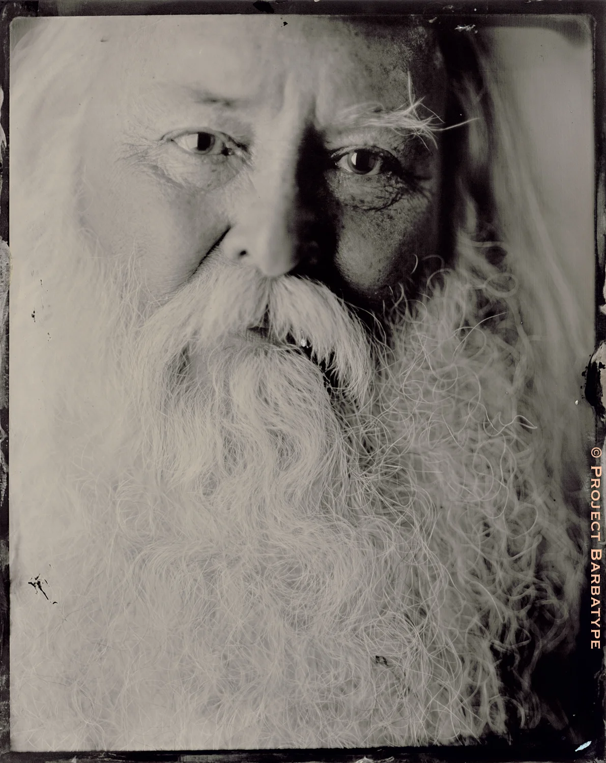 ~ Dallas BeardFest 3 - May '14 — Project Barbatype