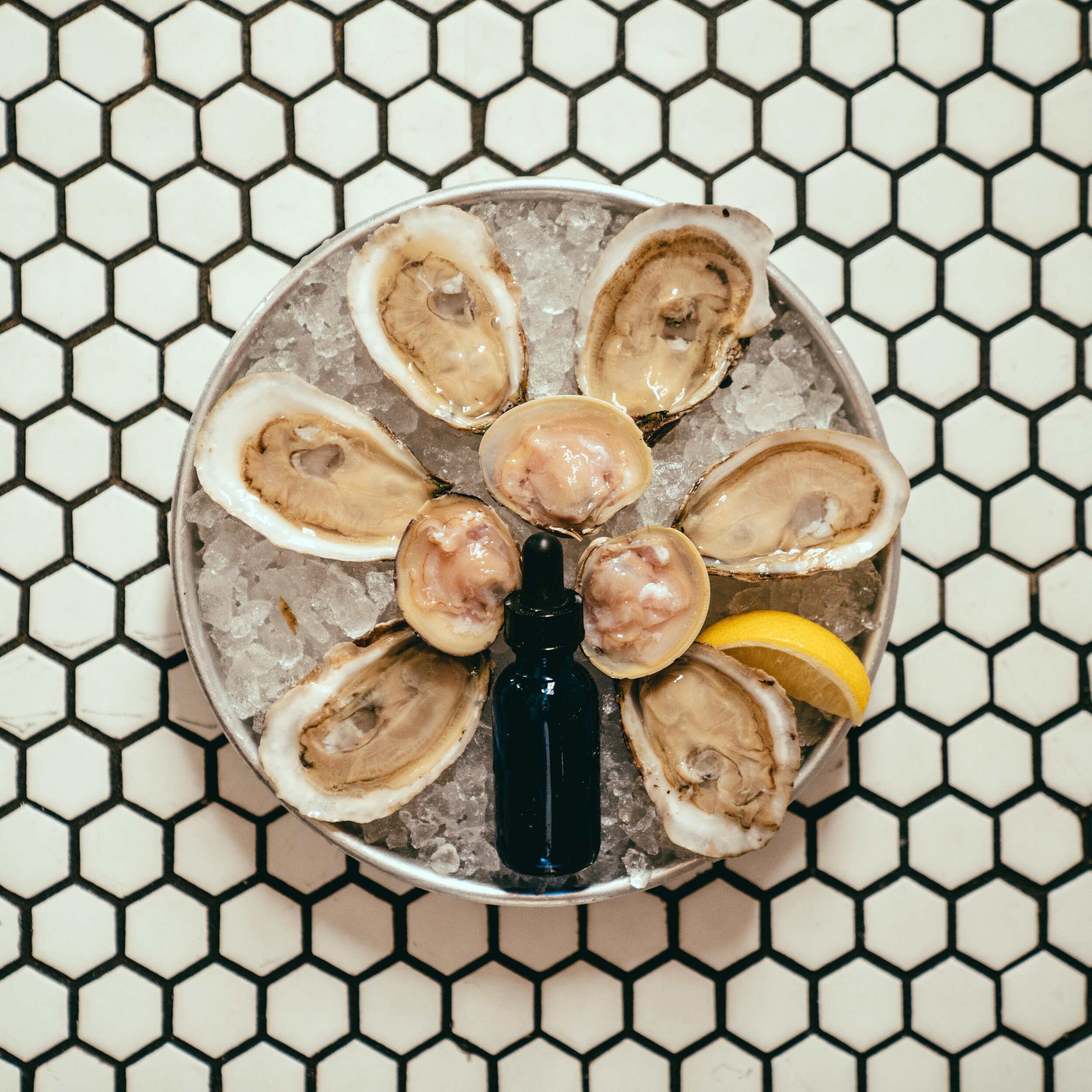 Dylan's Oyster Cellar