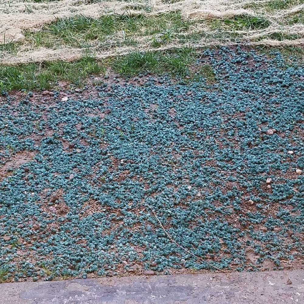 Erosion Control & Excavating — Dvorak Landscape Supply, LLC