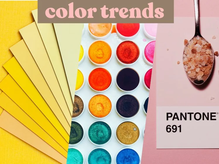 Trend Forecasting — CatCoq