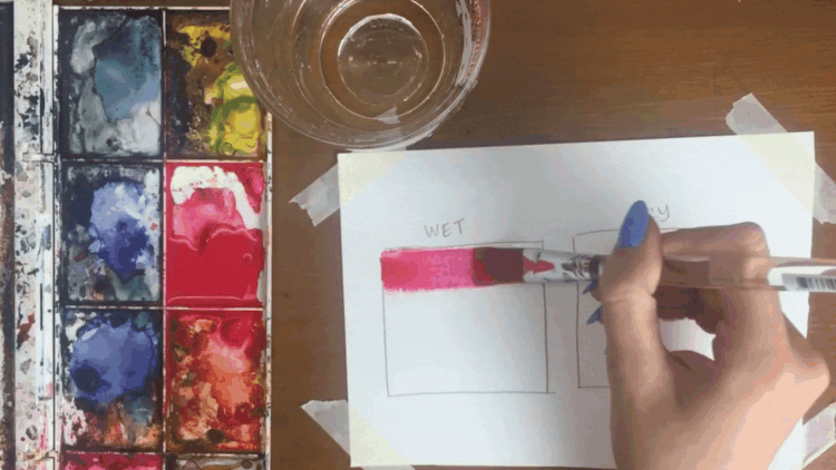 Watercolor Painting Techniques for Beginners — CatCoq