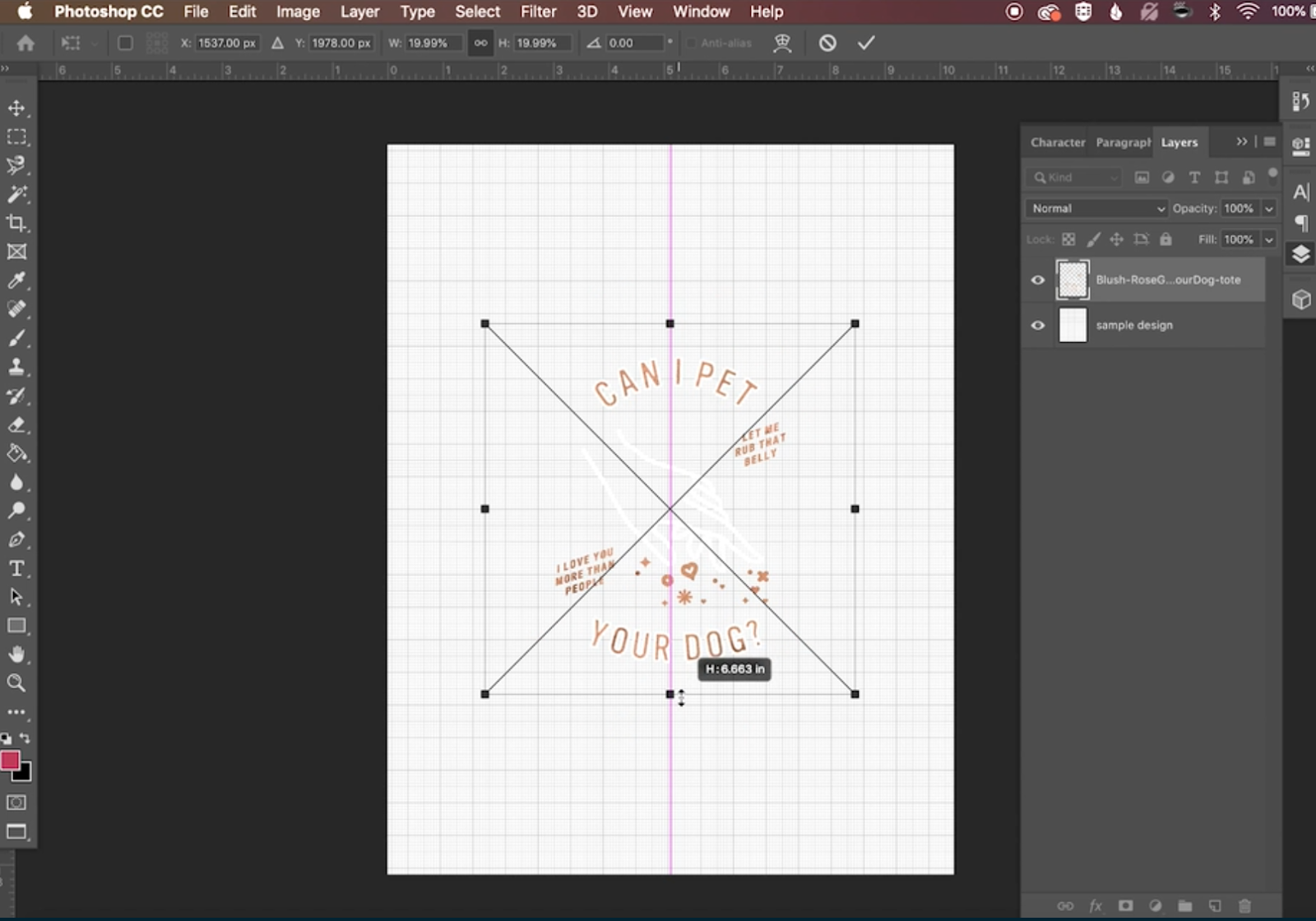 How to Design Product Mockups — CatCoq