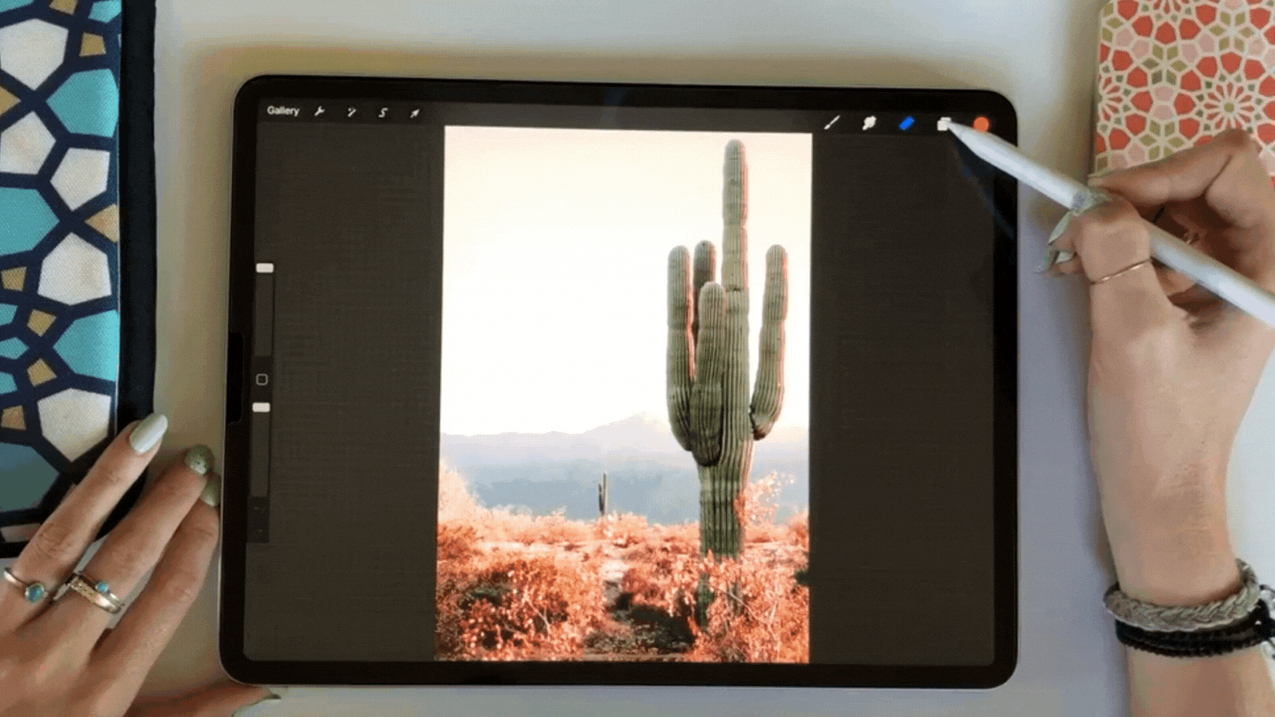 The Ultimate Beginner's Guide to Procreate Part Two — CatCoq