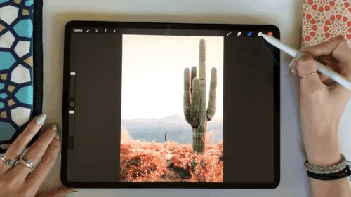 The Ultimate Beginner's Guide to Procreate Part Two — CatCoq