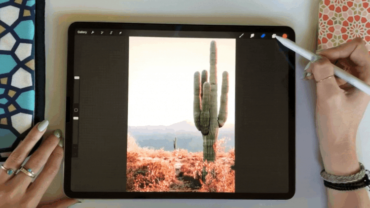 The Ultimate Beginner's Guide to Procreate Part Two — CatCoq