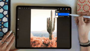 The Ultimate Beginner's Guide to Procreate Part Two — CatCoq