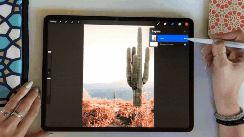 The Ultimate Beginner's Guide to Procreate Part Two — CatCoq