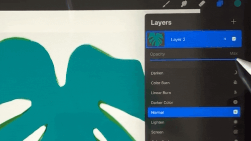 The Ultimate Beginner's Guide to Procreate Part Two — CatCoq
