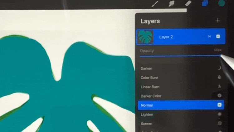 The Ultimate Beginner's Guide to Procreate Part Two — CatCoq
