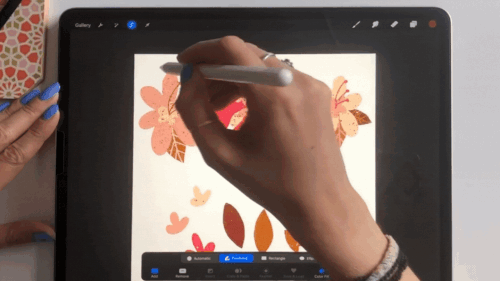 The Ultimate Beginner's Guide to Procreate Part Two — CatCoq