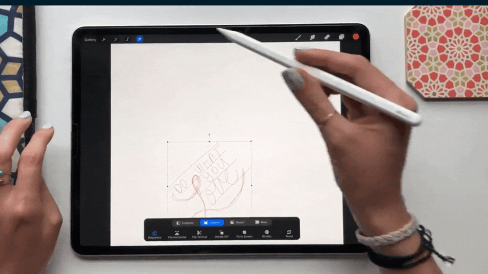 The Guide to Hand-Lettering in Procreate — CatCoq