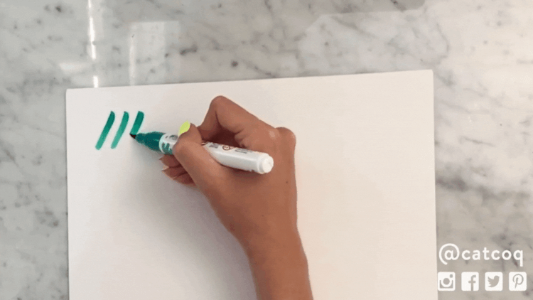 Calligraphy and Brush Lettering Basics — CatCoq