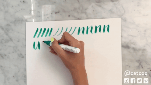 Calligraphy and Brush Lettering Basics — CatCoq