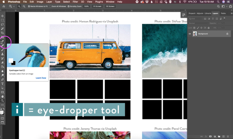 How to Make a Color Palette in Photoshop — CatCoq