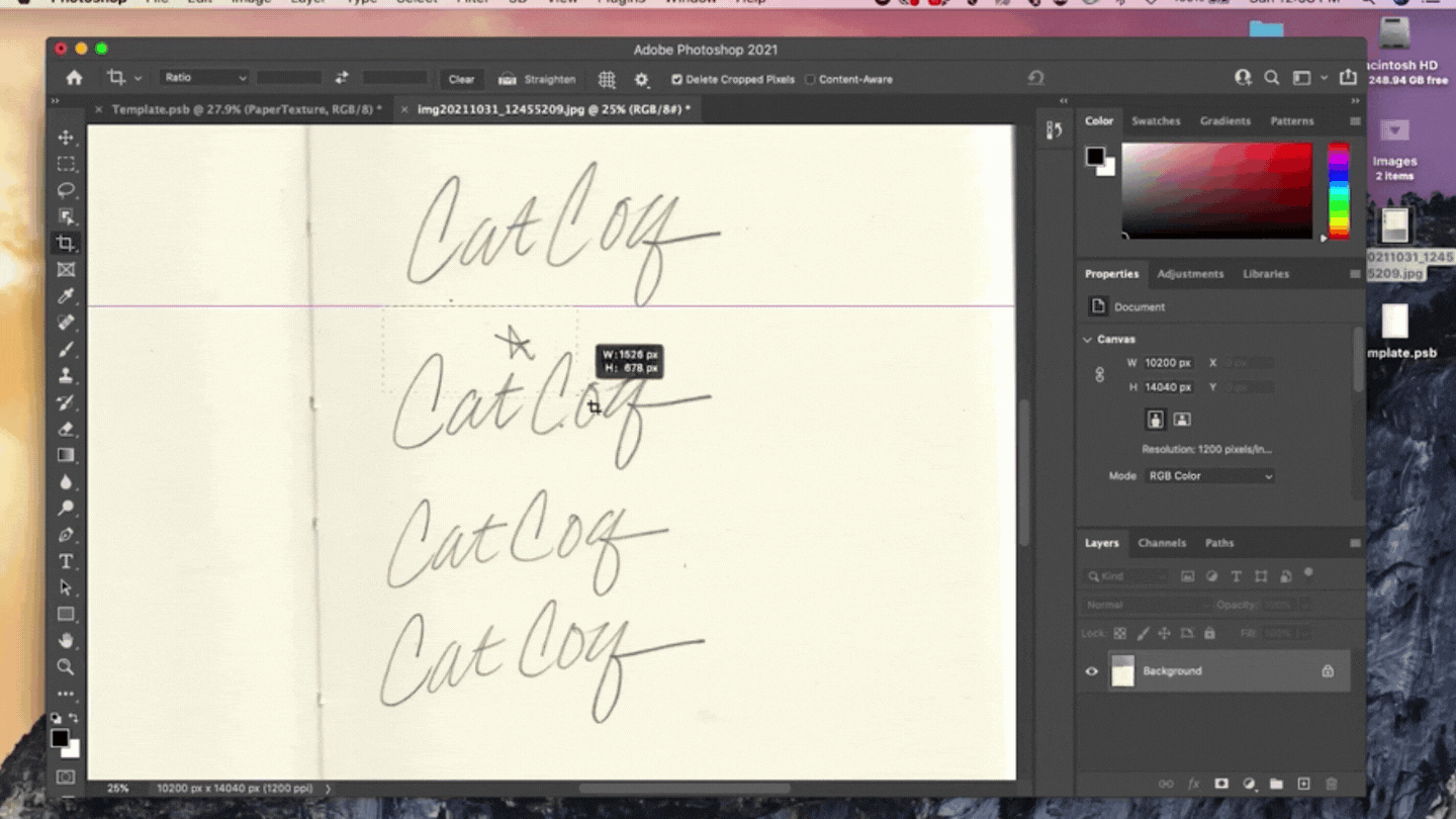 How to Digitize Your Signature — CatCoq