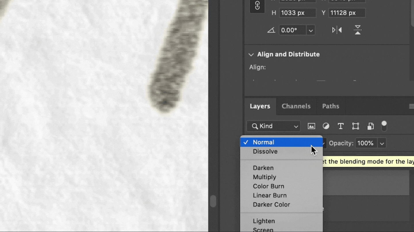 How to Digitize Your Signature — CatCoq