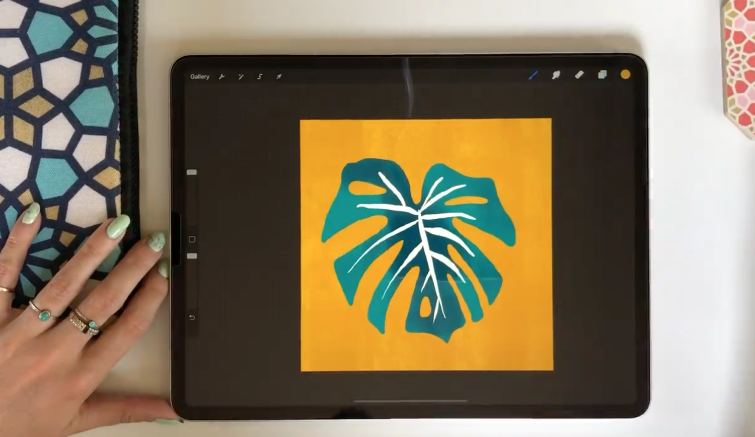 Six Procreate Drawing Ideas — CatCoq