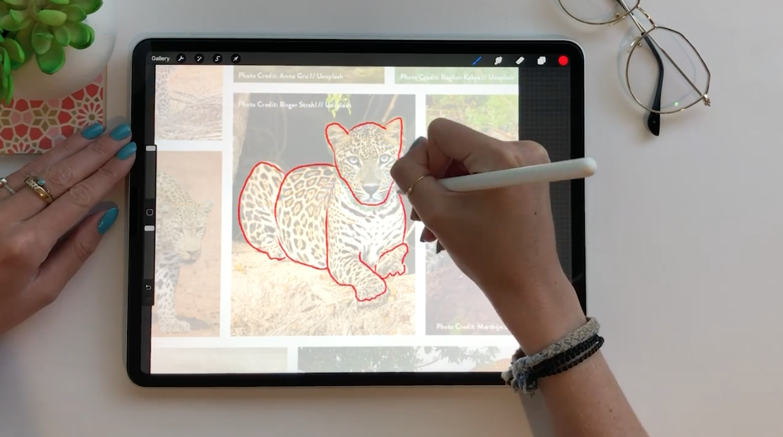Six Procreate Drawing Ideas — CatCoq Six Procreate Drawing Ideas — CatCoq
