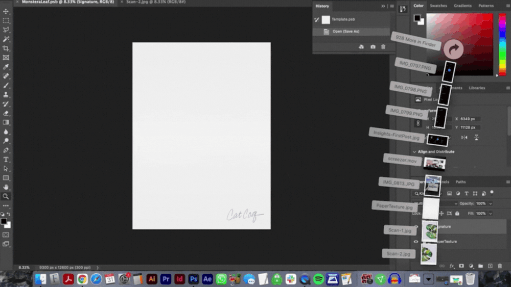 Digitizing Artwork: How to Fuse Two Scans Together in Photoshop — CatCoq