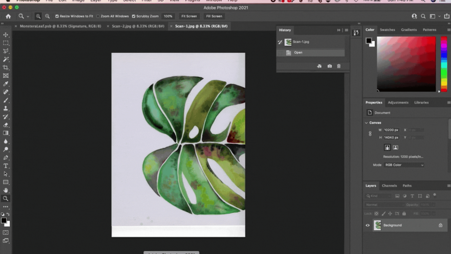 Digitizing Artwork: How to Fuse Two Scans Together in Photoshop — CatCoq