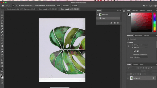 Digitizing Artwork: How to Fuse Two Scans Together in Photoshop — CatCoq