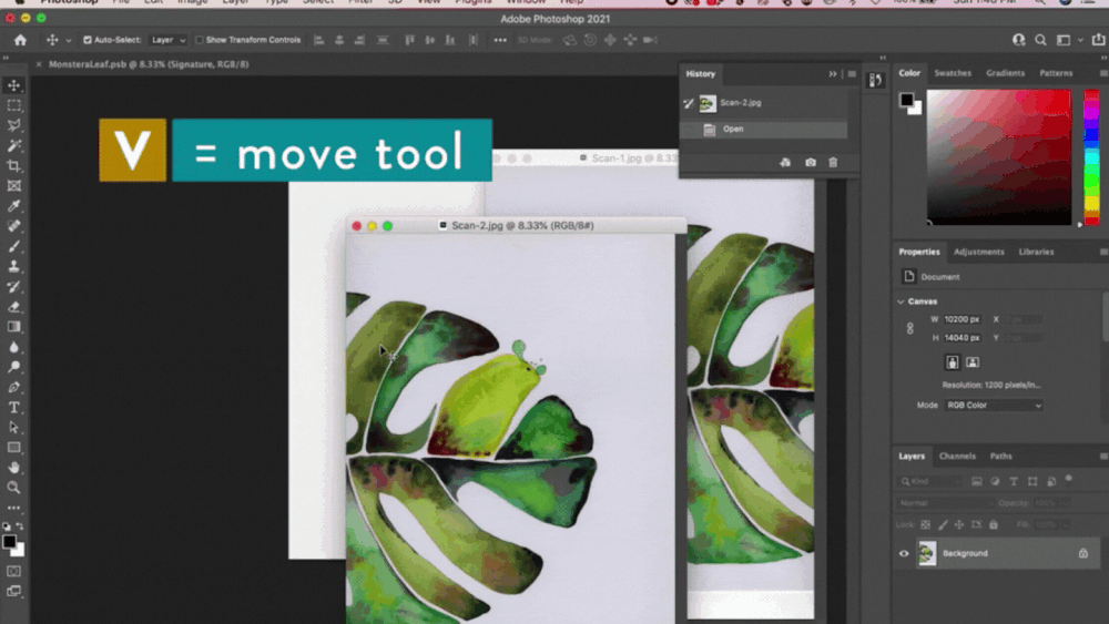 Digitizing Artwork: How to Fuse Two Scans Together in Photoshop — CatCoq