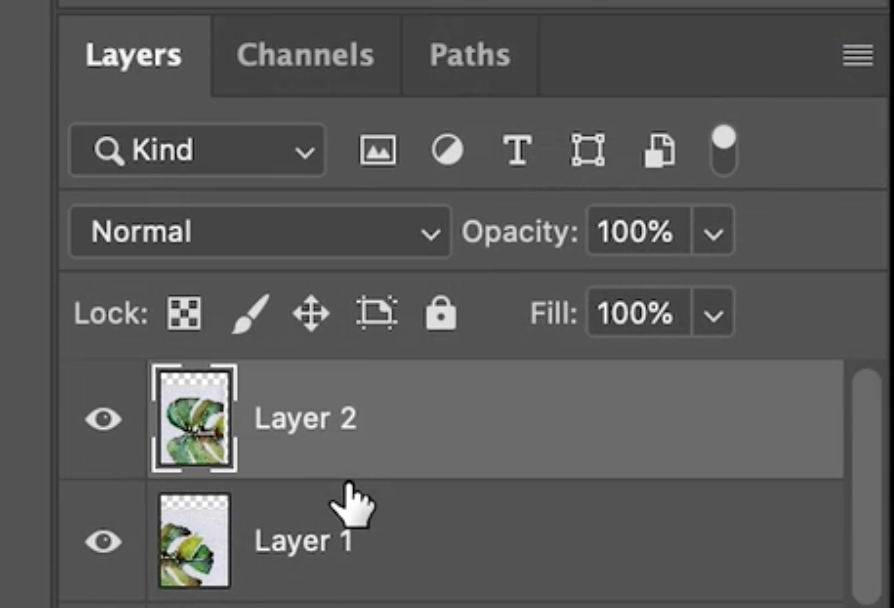 Digitizing Artwork: How to Fuse Two Scans Together in Photoshop — CatCoq