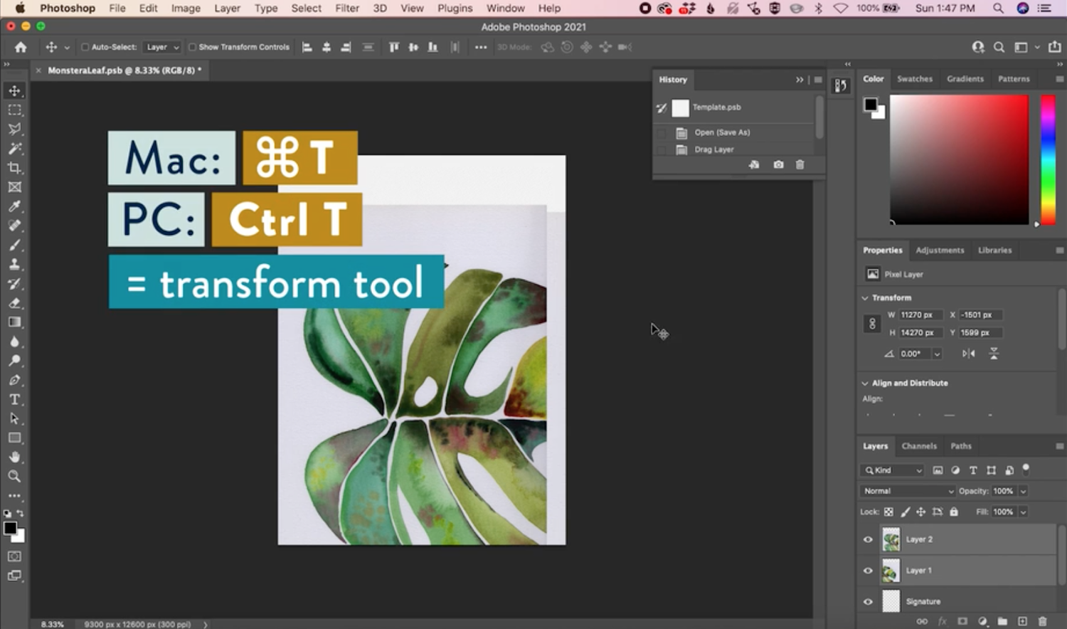 Digitizing Artwork: How to Fuse Two Scans Together in Photoshop — CatCoq