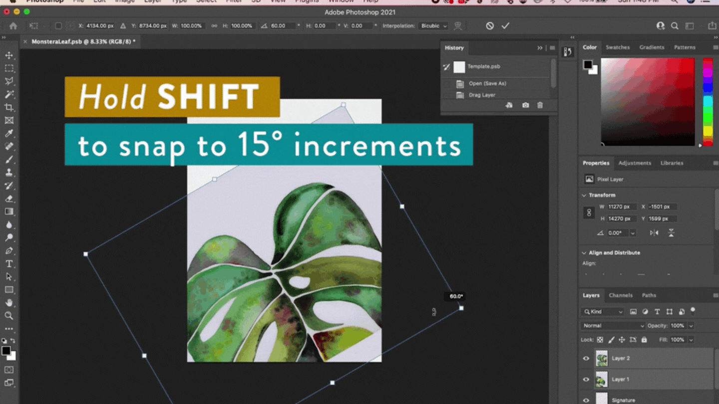 Digitizing Artwork: How to Fuse Two Scans Together in Photoshop — CatCoq