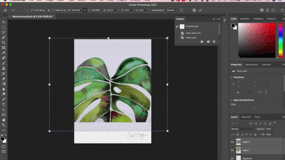 Digitizing Artwork: How to Fuse Two Scans Together in Photoshop — CatCoq