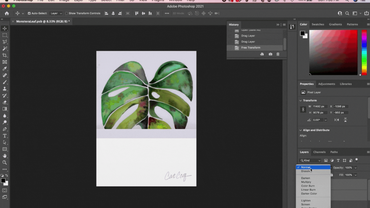 Digitizing Artwork: How to Fuse Two Scans Together in Photoshop — CatCoq